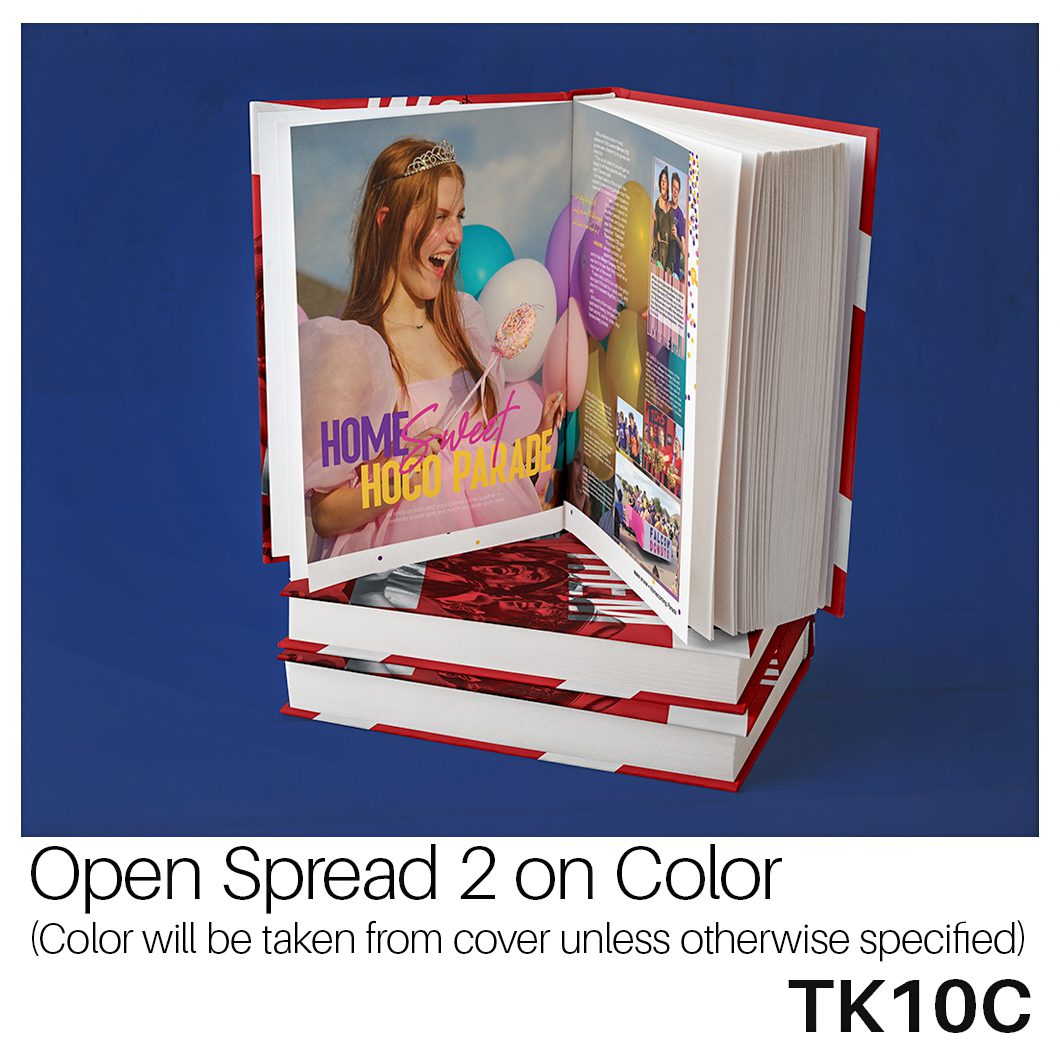 Cover Mock-Up Options - Organized Adviser