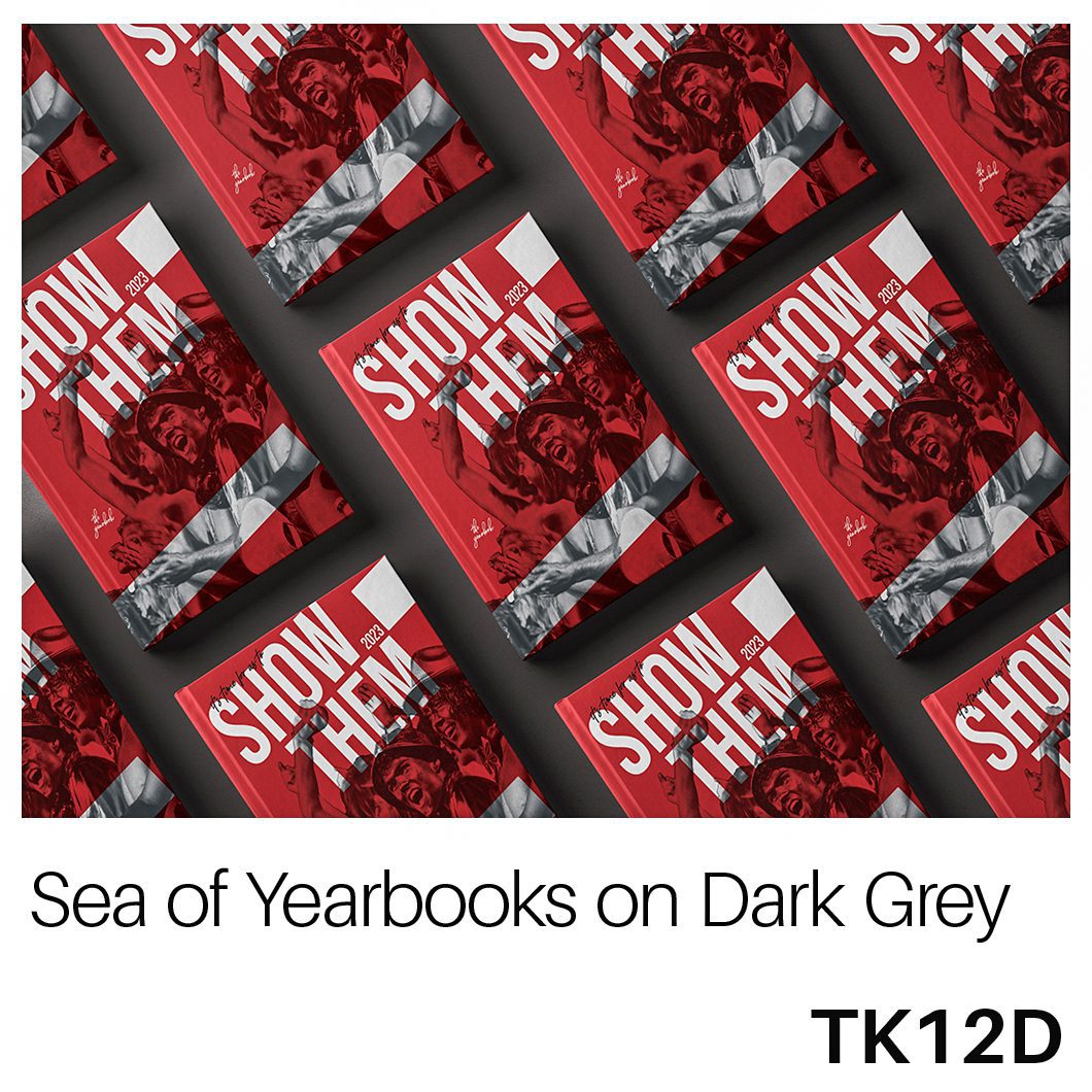 Cover Mock-Up Options - Organized Adviser