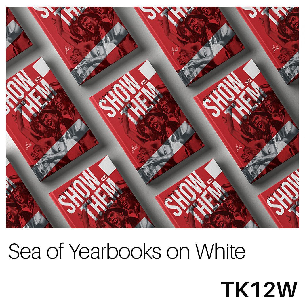 Cover Mock-Up Options - Organized Adviser