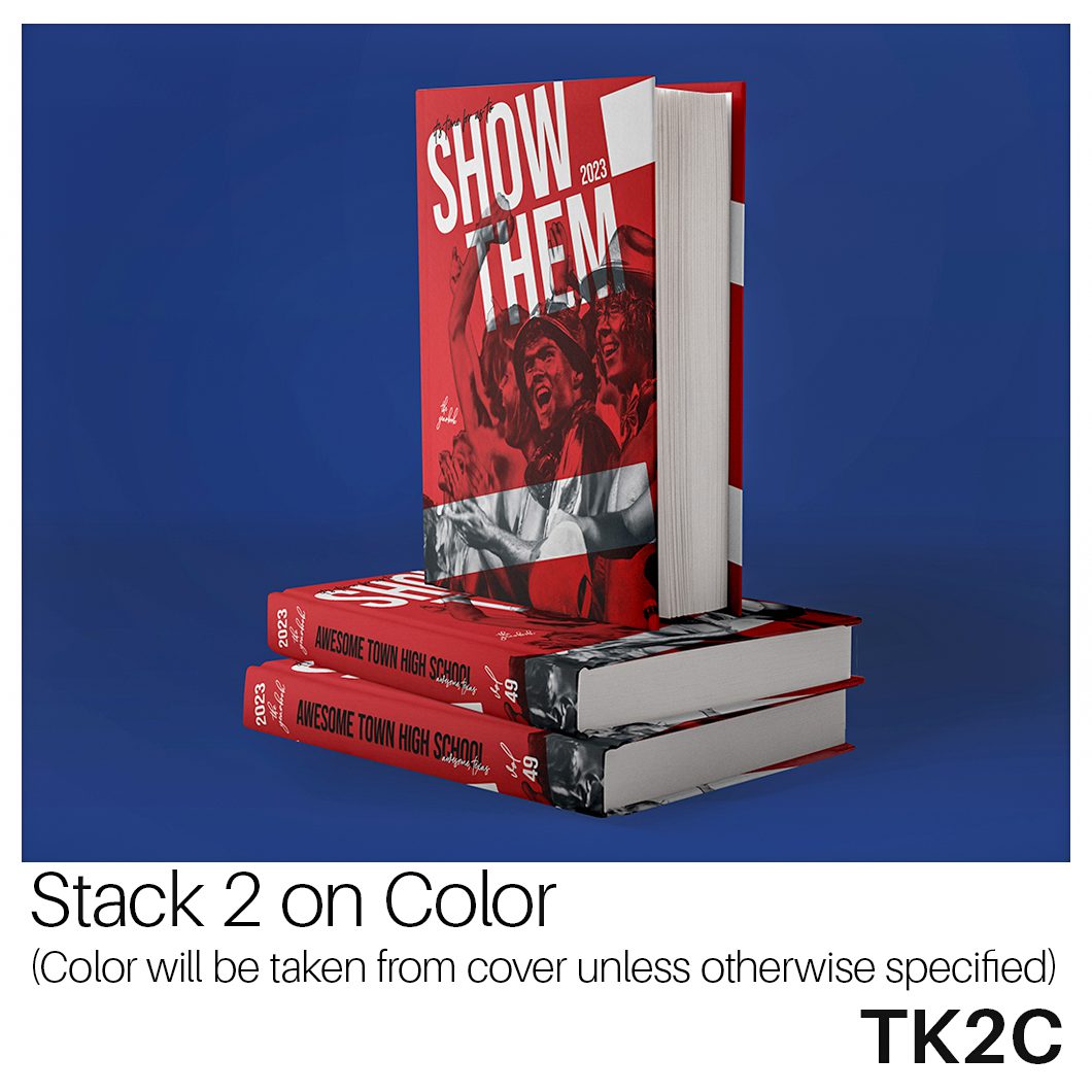 Cover Mock-Up Options - Organized Adviser