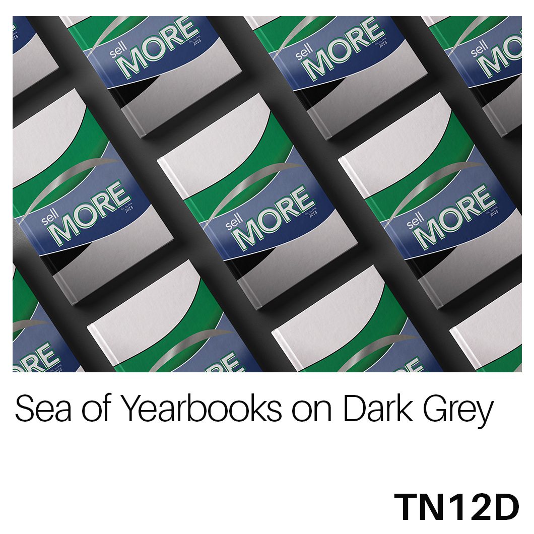Cover Mock-Up Options - Organized Adviser