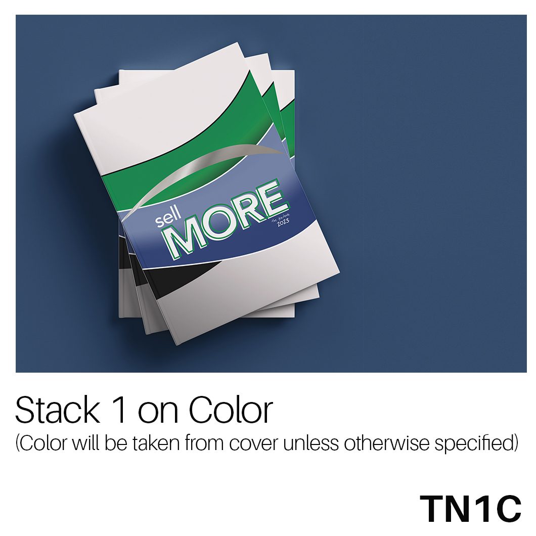 Cover Mock-Up Options - Organized Adviser
