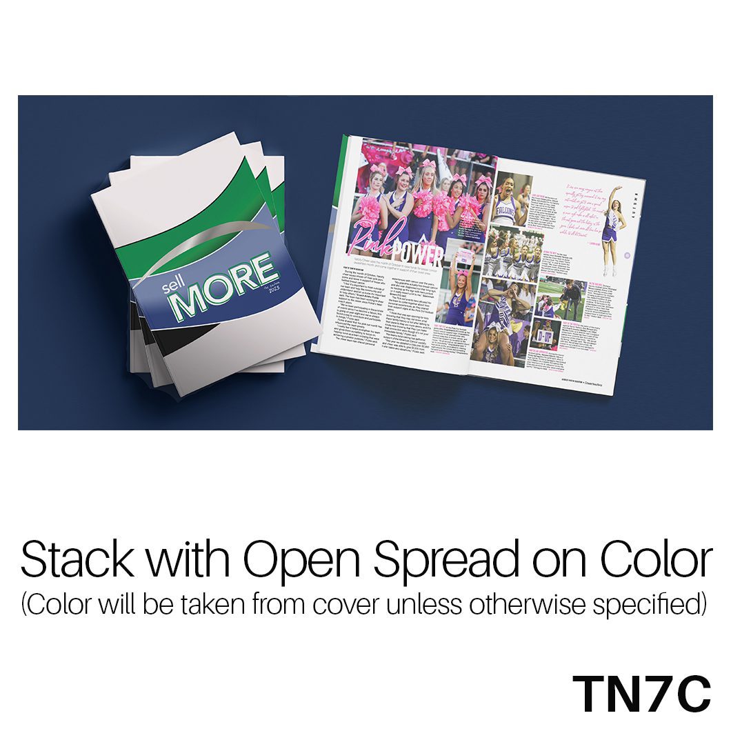 Cover Mock-Up Options - Organized Adviser