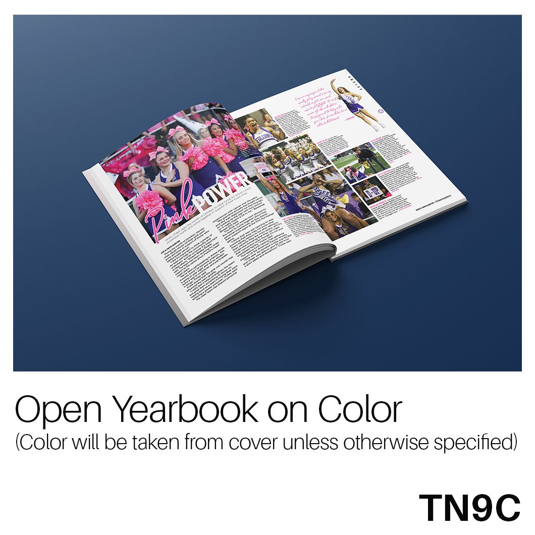 Cover Mock-Up Options - Organized Adviser