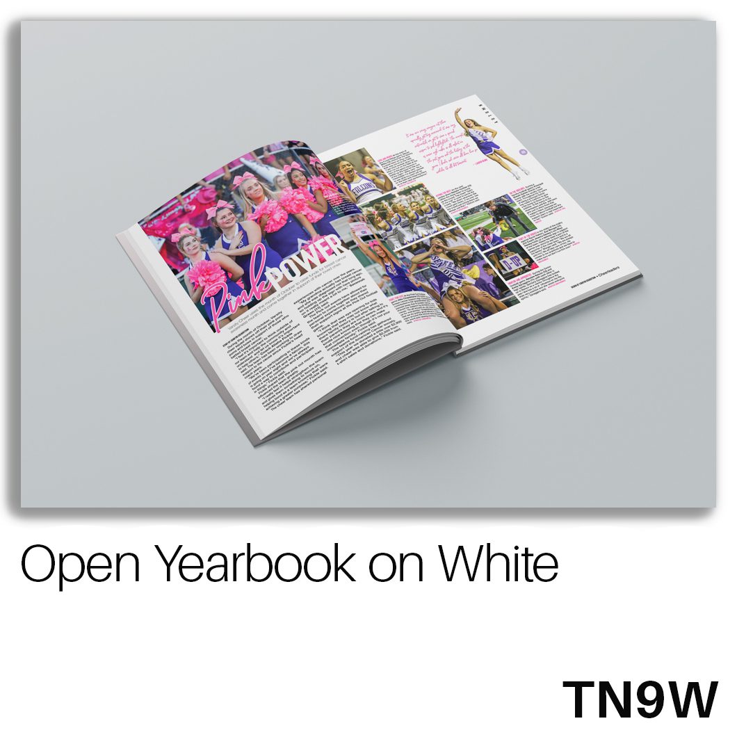 Cover Mock-Up Options - Organized Adviser
